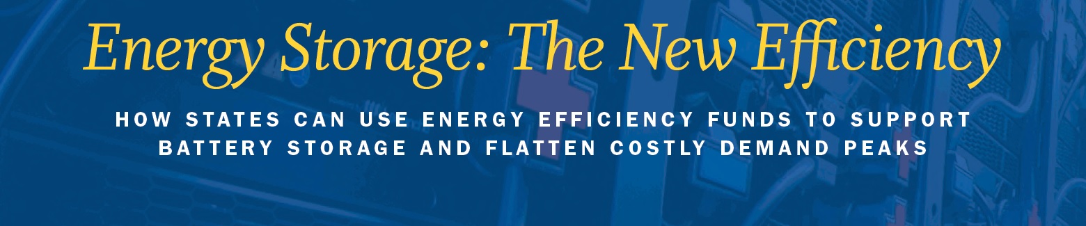 Clean Energy Group - Innovation in Finance, Technology, & Policy